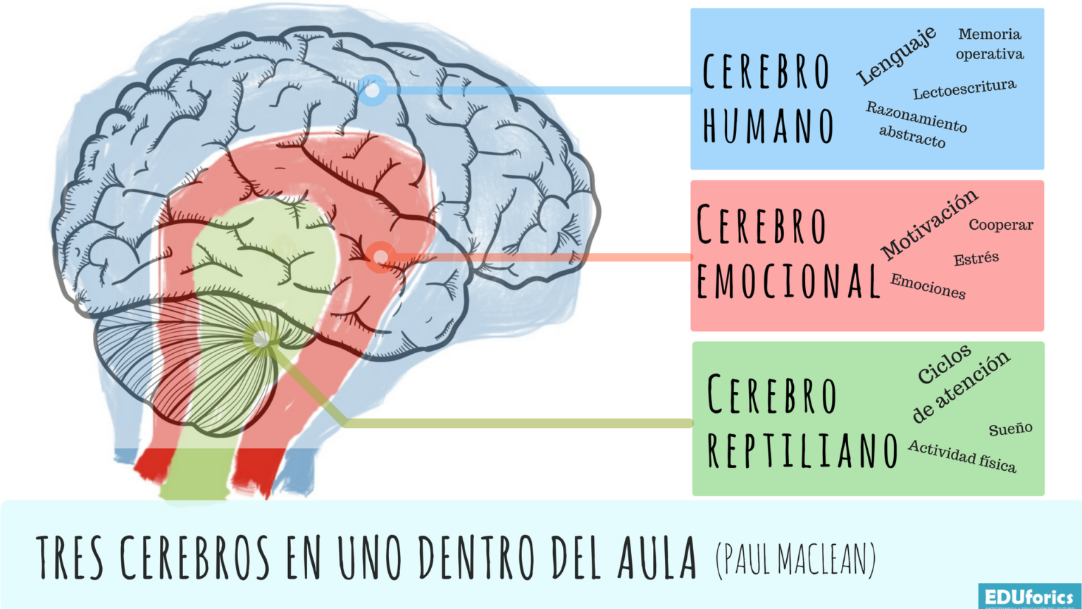 NEUROCIENCIA DE LAS EMOCIONES - COMPLETO - IAFI