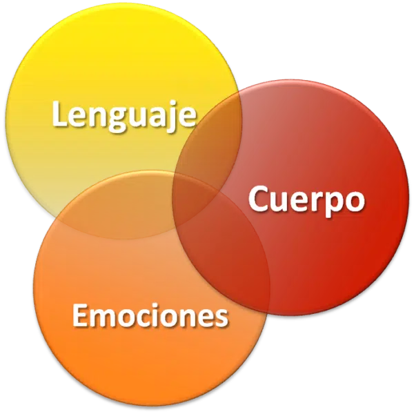 COHERENCIA CUERPO EMOCIÓN Y LENGUAJE - IAFI